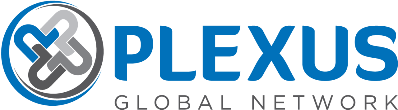 Who | The Plexus Groupe