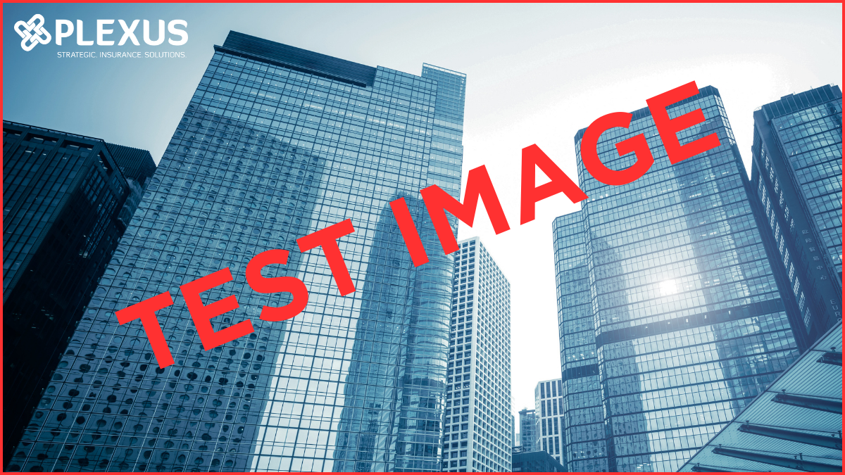 Blog | The Plexus Groupe